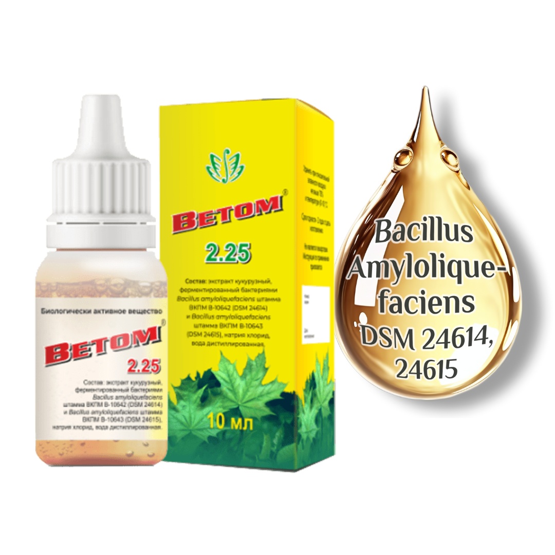 Webshop ⋆ Vetom Magyarország